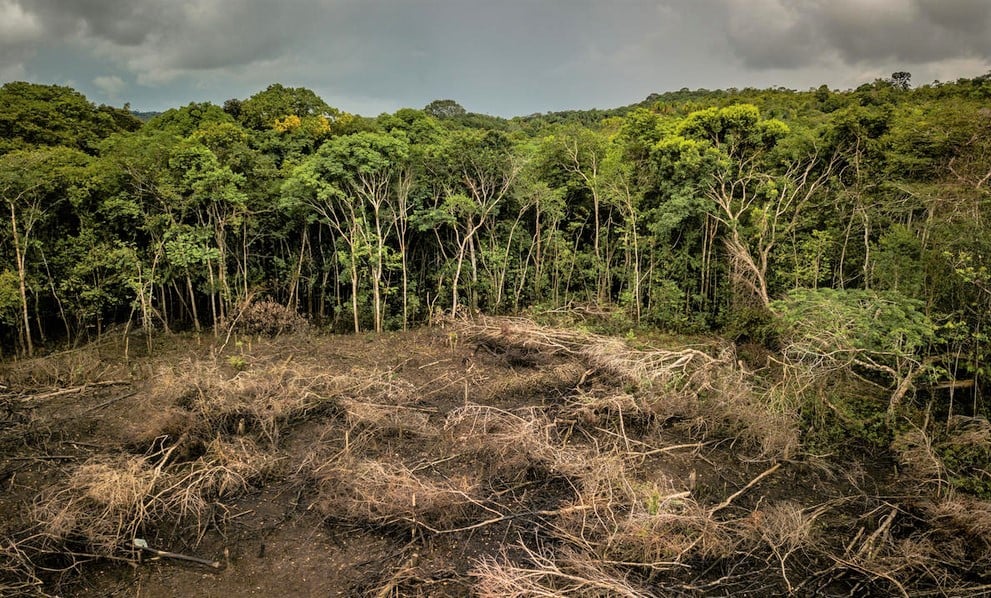 Learn more about the issues & solutions | Earth Hour