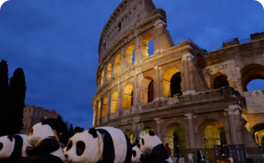 Milestones over the years | Earth Hour